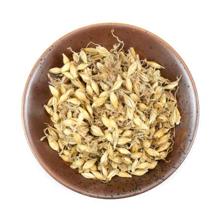 Mai Ya (Fructus Hordei Geminatus) 16oz - Tak Shing Hong