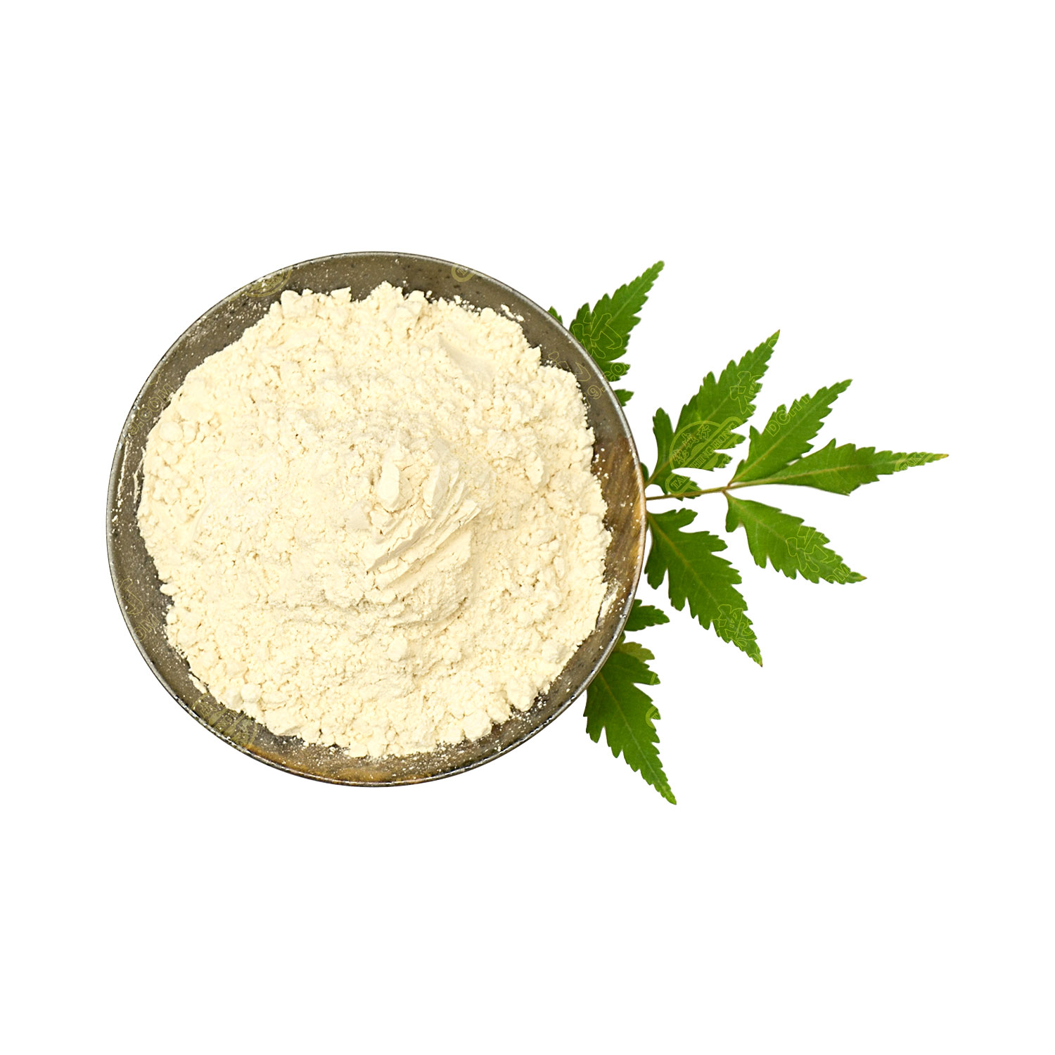 Wild American Ginseng Powder AAA 2oz - Tak Shing Hong